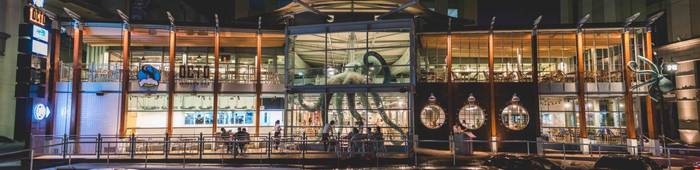 Octo | Restaurant & Bar Design Awards