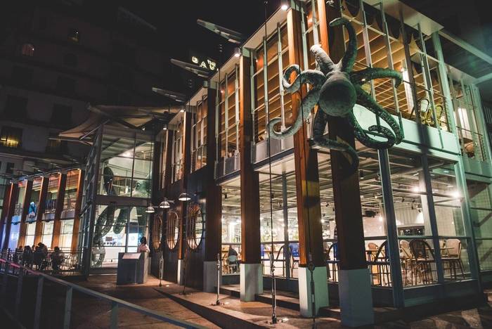 Octo | Restaurant & Bar Design Awards