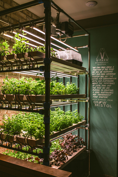 Suncraft | Restaurant & Bar Design Awards